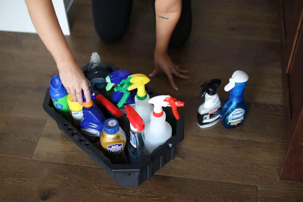 How to Clean Your House (FAST) - House Work