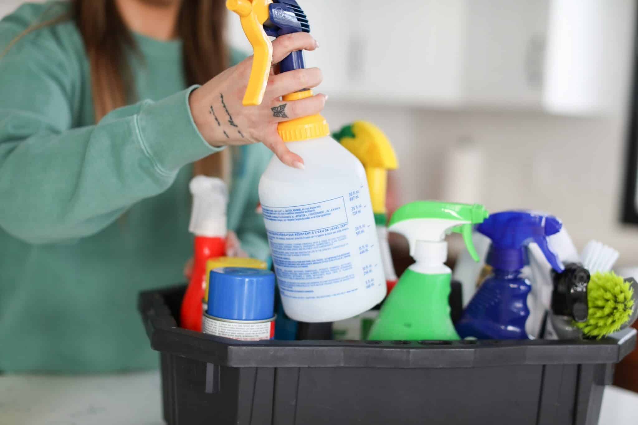Secrets of Cleaning Efficiently - House Work